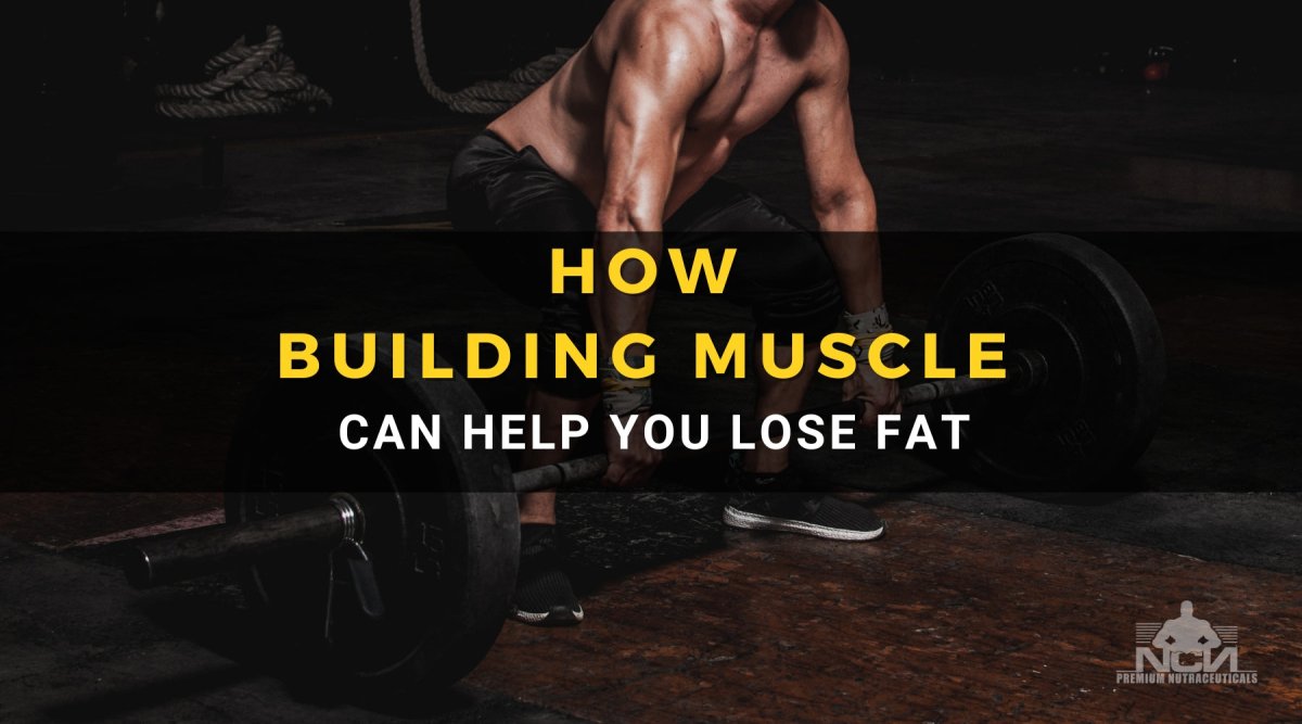 How Building Muscle Can Help You Lose Fat – NCN Supps