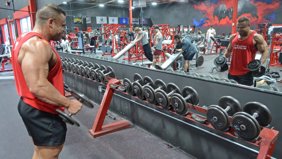 Muscle Growth Explained: The Science Behind Tear and Repair in Muscle ...